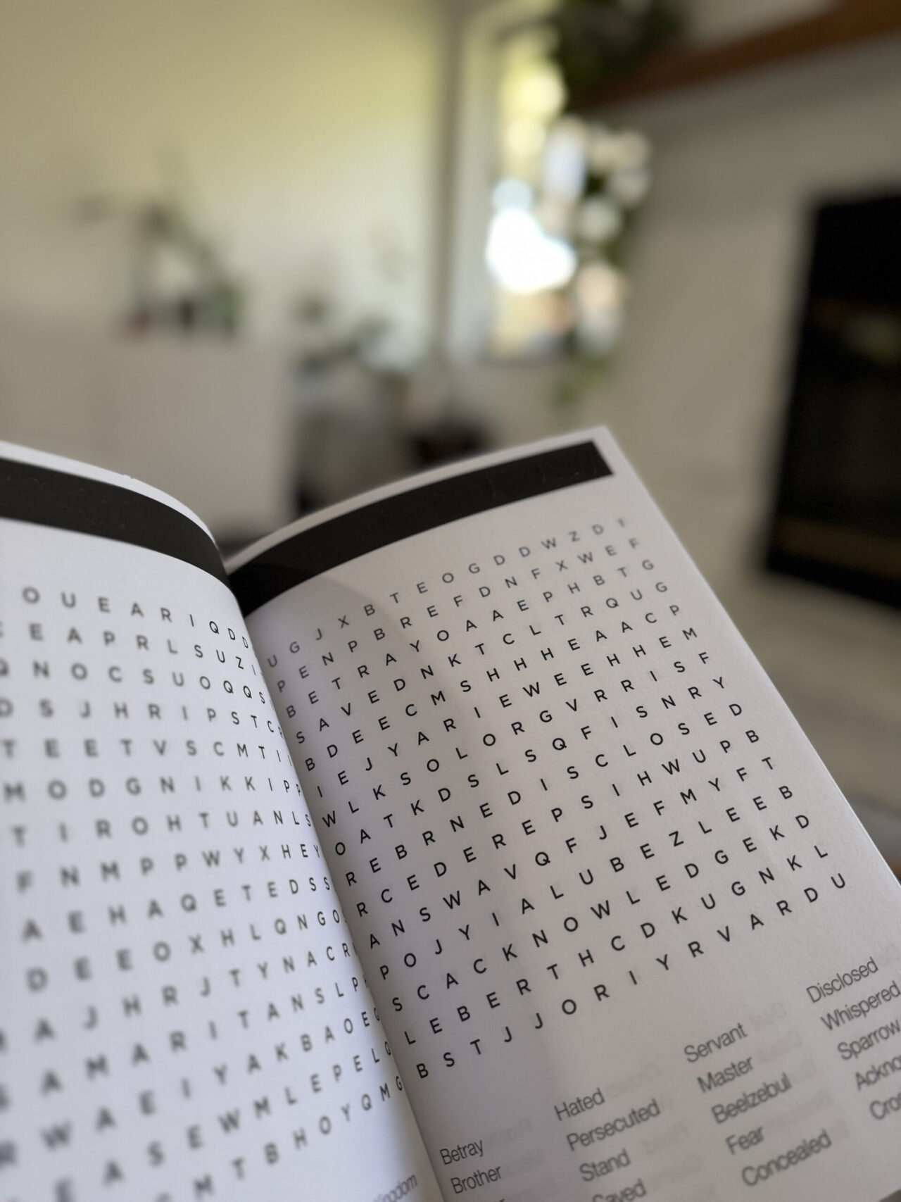 Romans Bible Word Search Puzzle Book - Christian Word Search